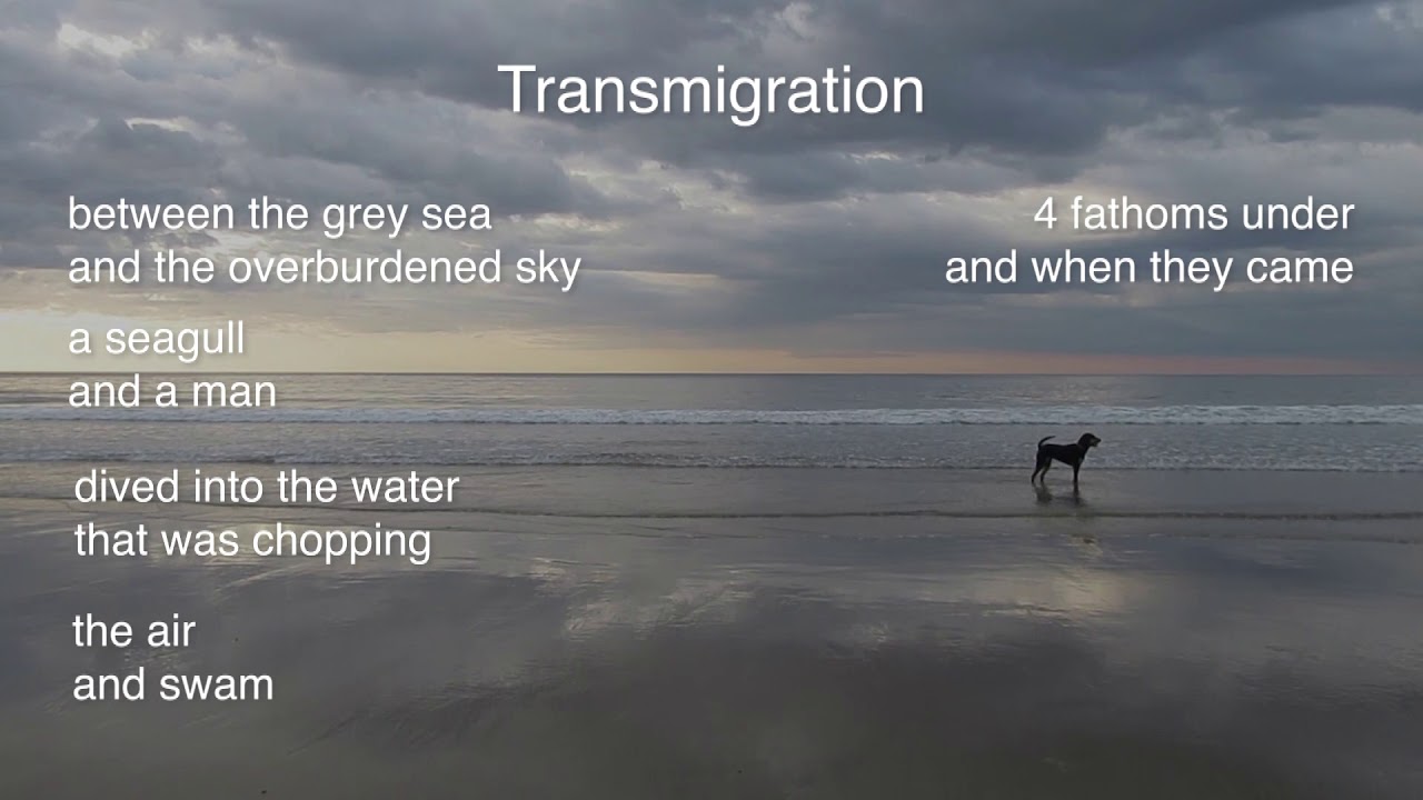 Transmigration - YouTube