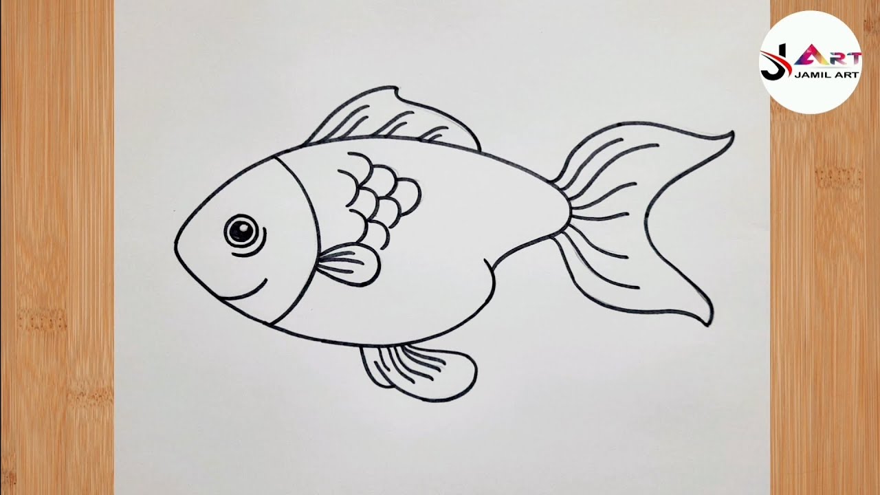 Fish drawing step by step || Fish Drawing for Beginners - YouTube