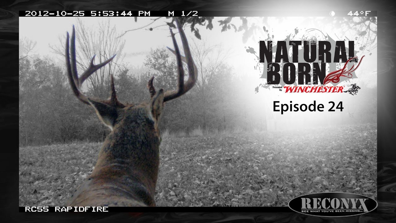 Winchester's Natural Born Ep. 24 (Terry Drury | Mark Drury | Steve Coon ...