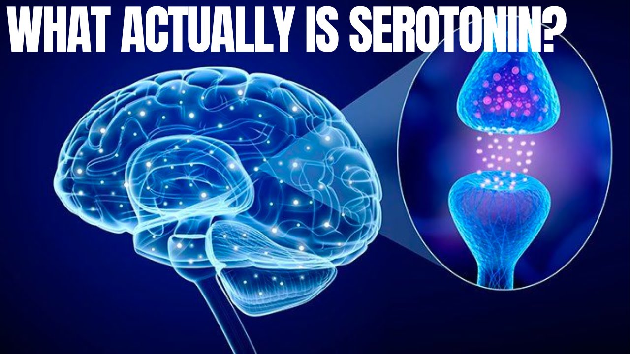Understanding Serotonin: The Key to Managing Mental Health - YouTube