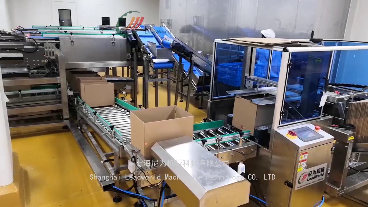 Bagged soybean packaging line (whole line) - YouTube