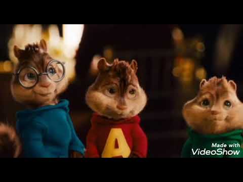 Sevgiden yazmayiblar (sincablar)*2020