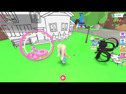 NEW ADOPT ME UPDATE (NEW FREE FLY RIDE 2D CAT IN ADOPT ME!) - YouTube
