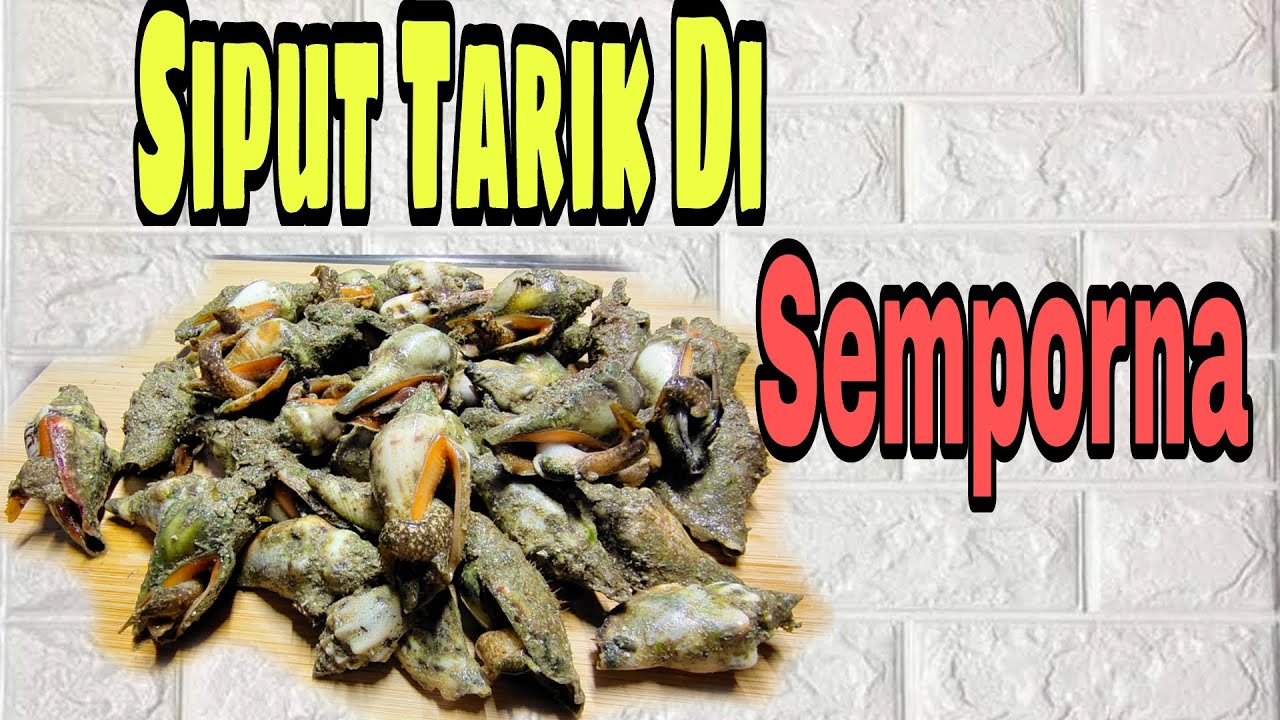 Siput Tarik Sabah | Cara Masak Siput Tarik - YouTube