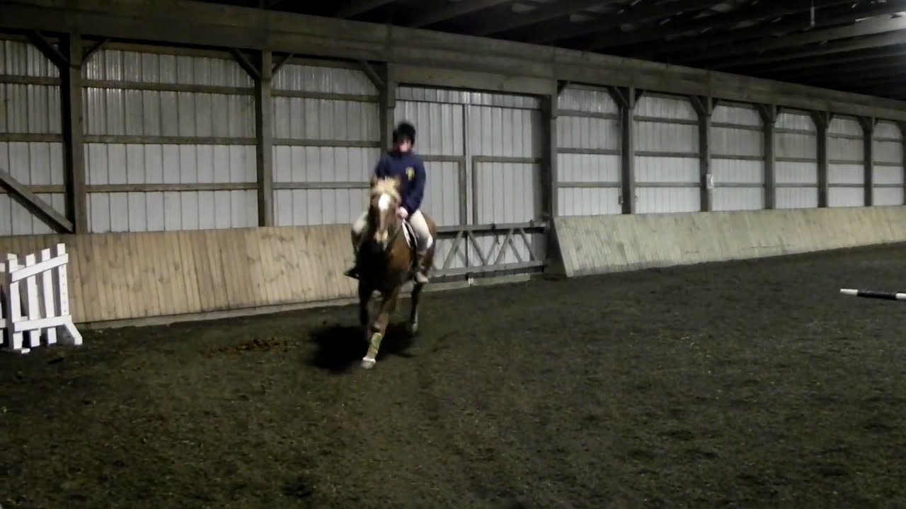 Erica cantering her horse Jasper. - YouTube