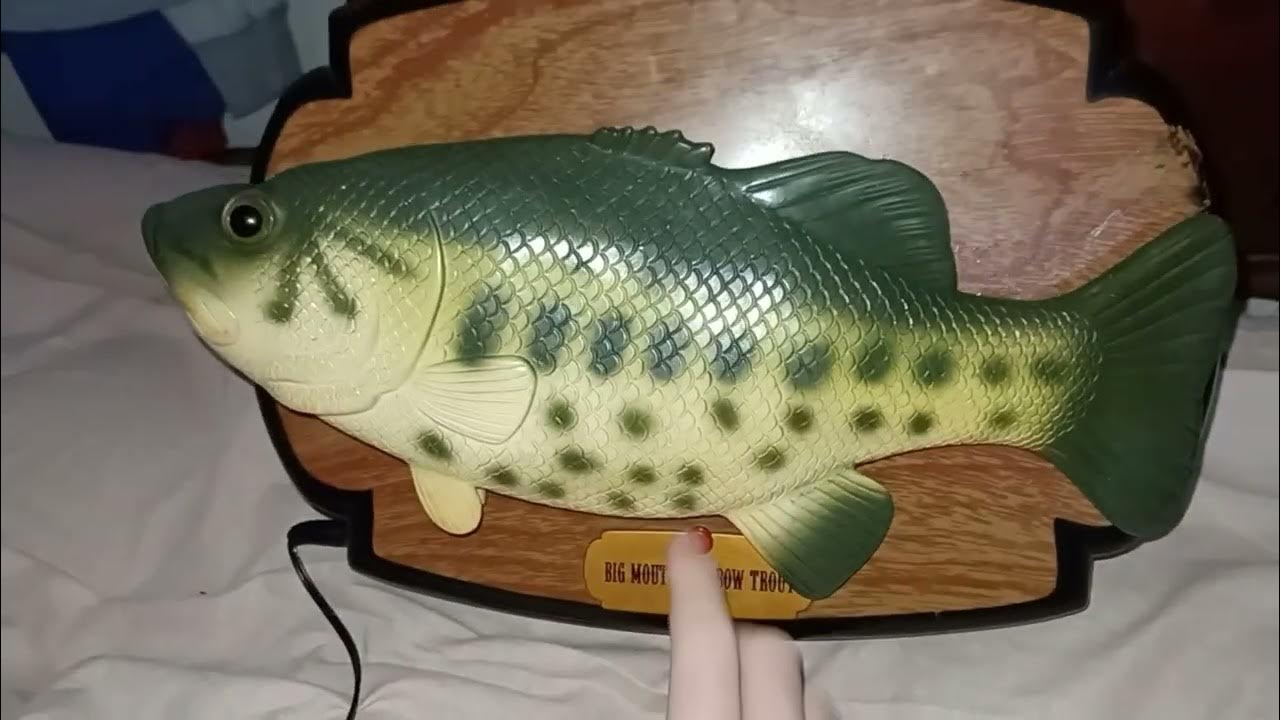 JSNY - Big Mouth Rainbow Trout - YouTube