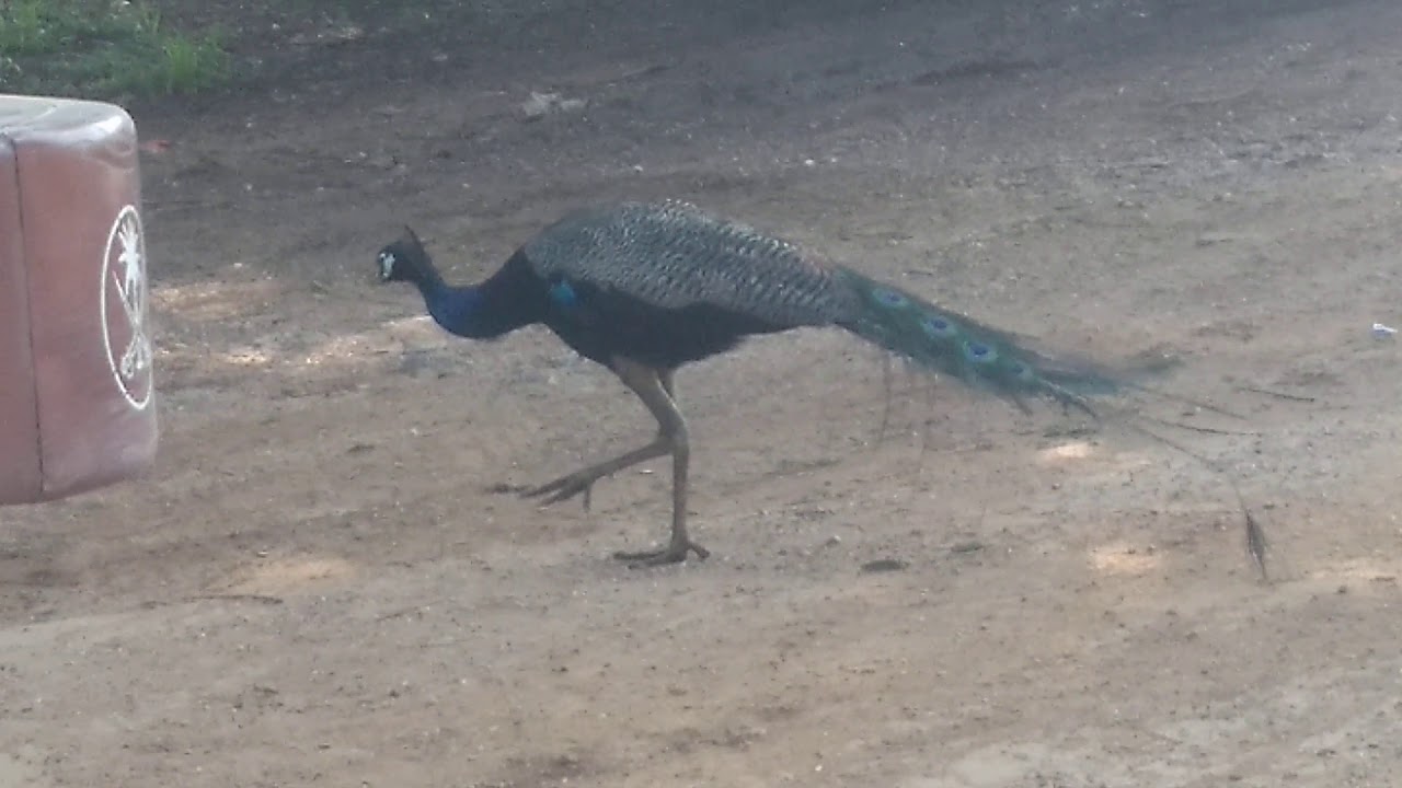 Mbr navilu - YouTube