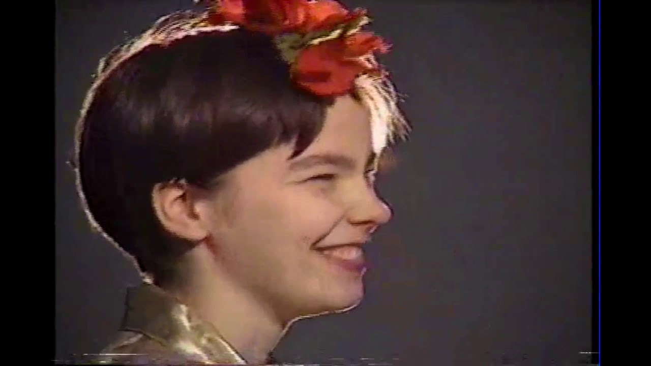 Bjork 1990