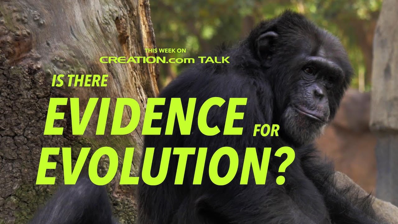 Is there any evidence for evolution?