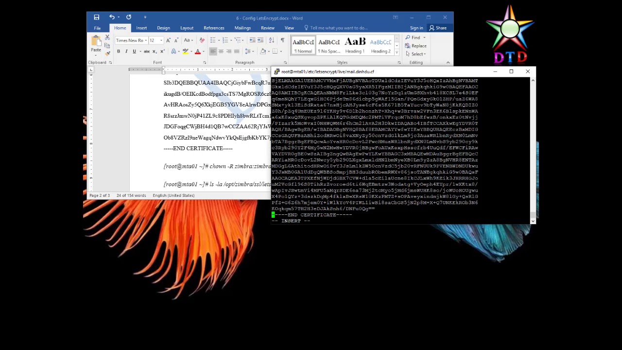 9 Zimbra 8 Mail Multi Server Configure LetsEncrypt - YouTube