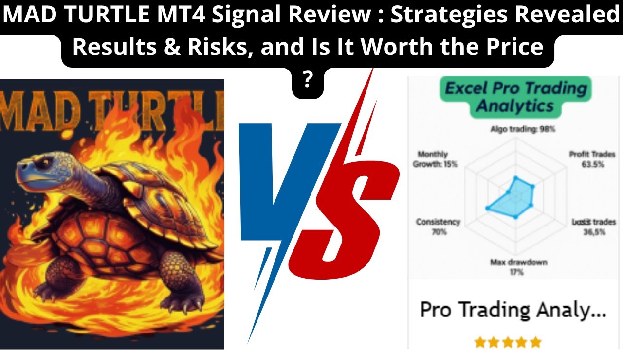Mad Turtle MT4 Signal Review : Strategies Revealed, Results & Risks ...