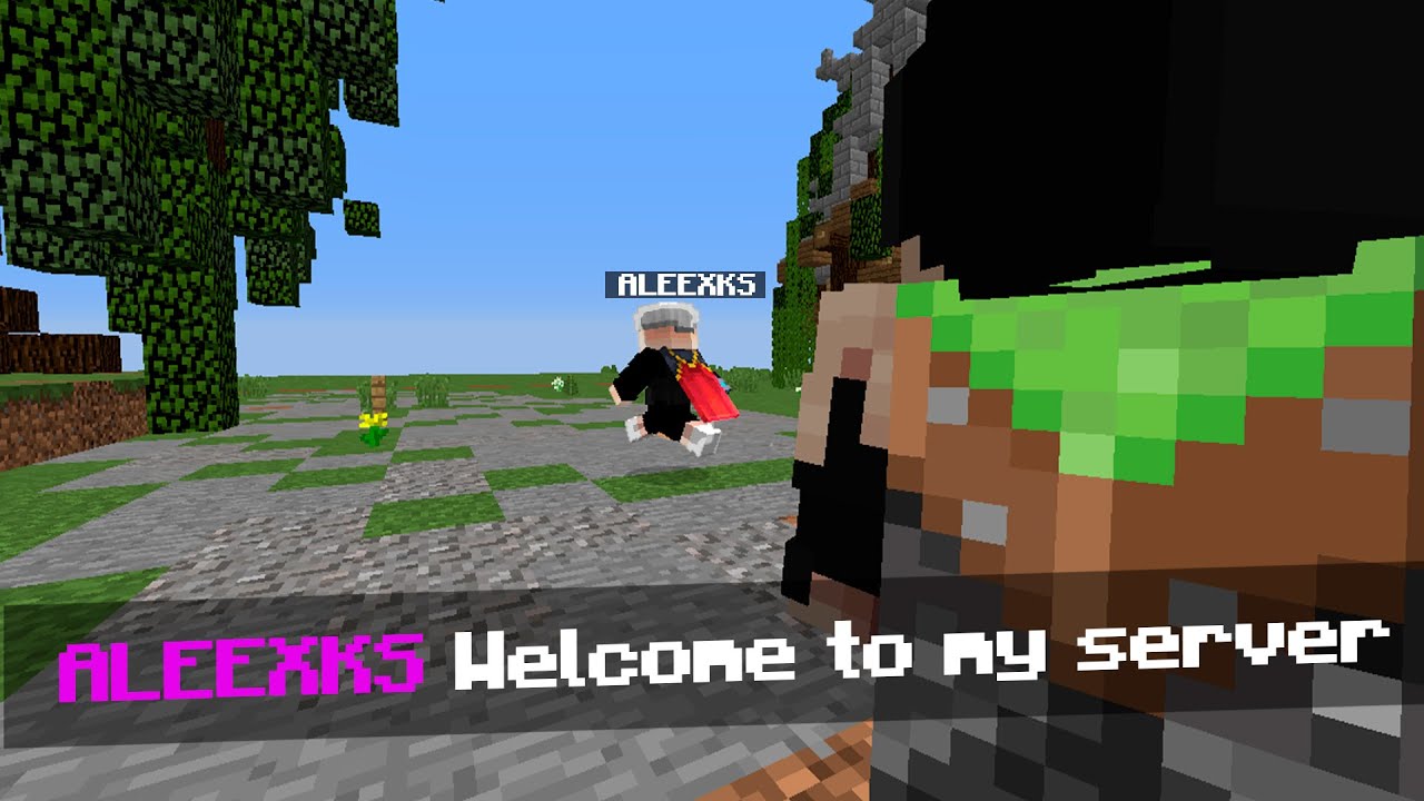 Encontre a ALEEXKS en mi SERVIDOR de MINECRAFT! - YouTube