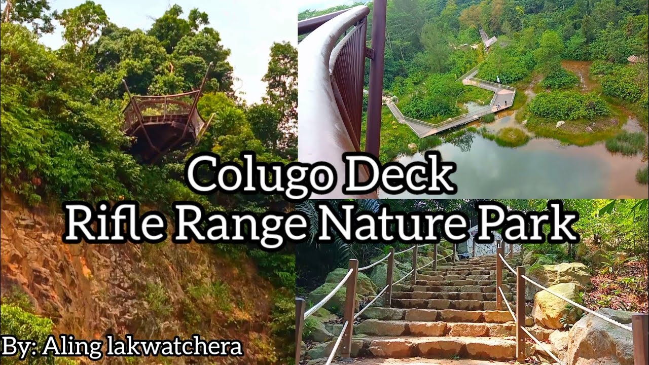 Colugo deck : Rifle Range Nature Park #nature #Rifle @Alinglakwatchera ...
