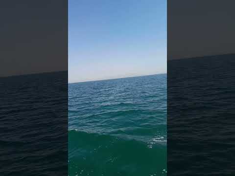 Orxan lokbatanli-seir