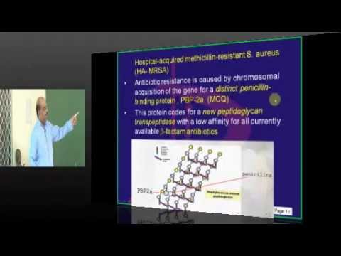 Staphylococcus High yield Topic Microbiology for USMLE Step 1 prep www ...