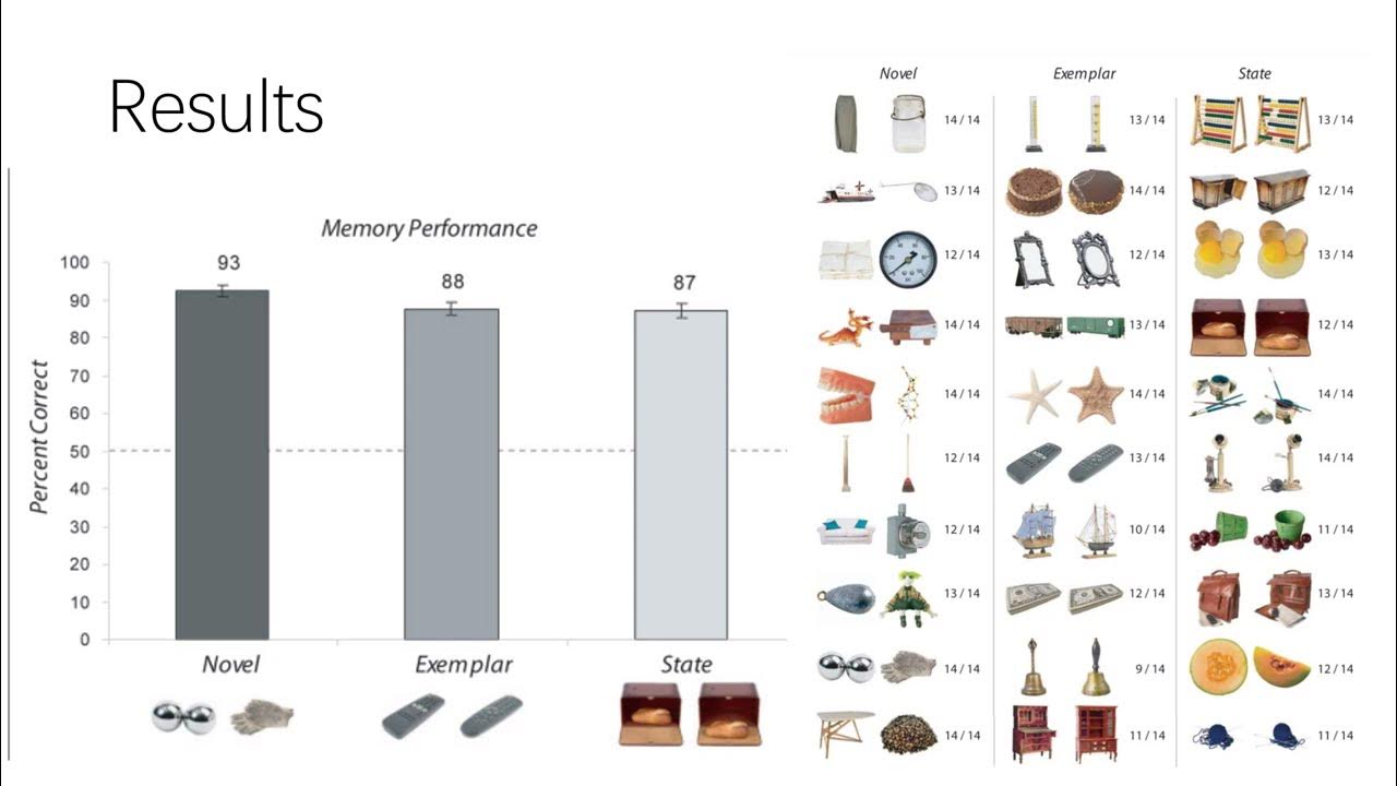 Paper presentation: "Massive-Capacity Storage of Visual Long-term ...