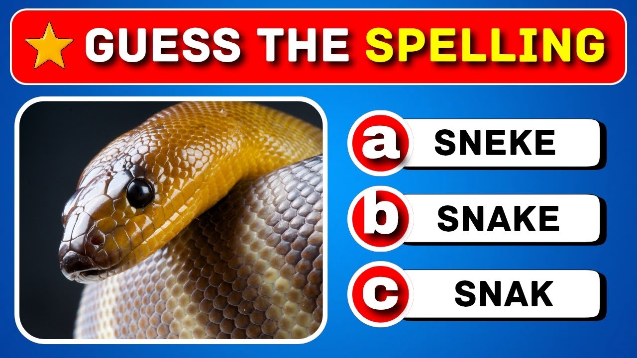 🔡 Correct Spelling Challenge.Animal Edition Quiz Game Guess the ...