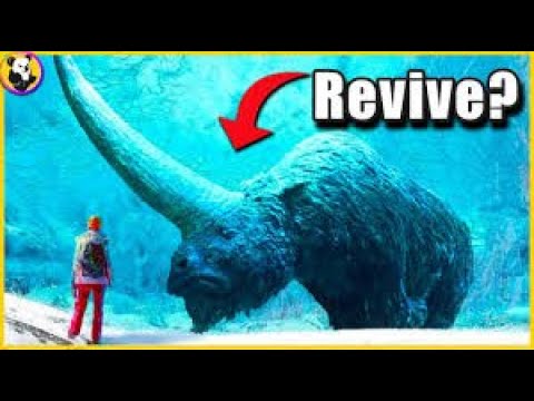 Animals with the Most Extreme Survival Skills - YouTube
