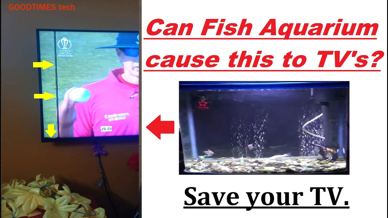 Sony 4K TV Black line | what caused this damaged. - YouTube