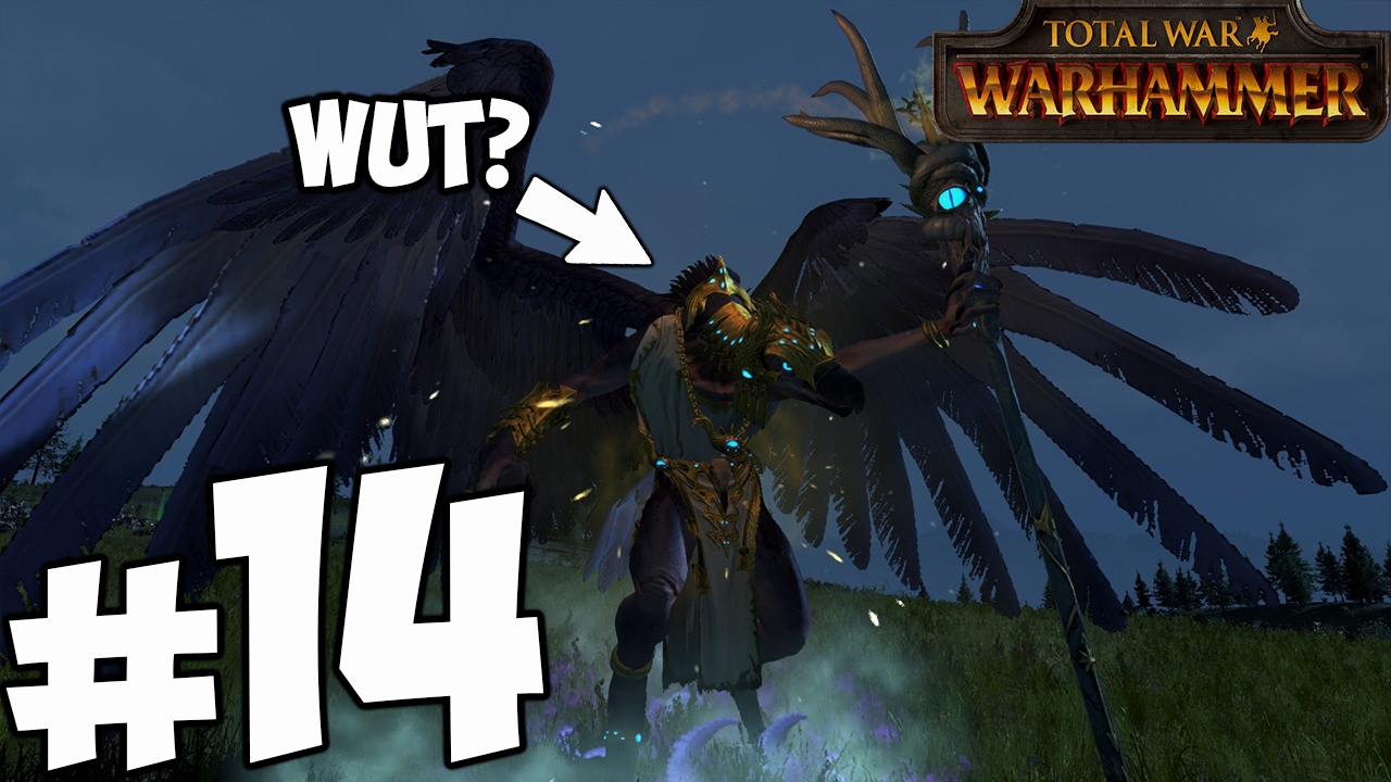TW: Warhammer - Wood Elves Grand Campaign #14 - Birdman - YouTube