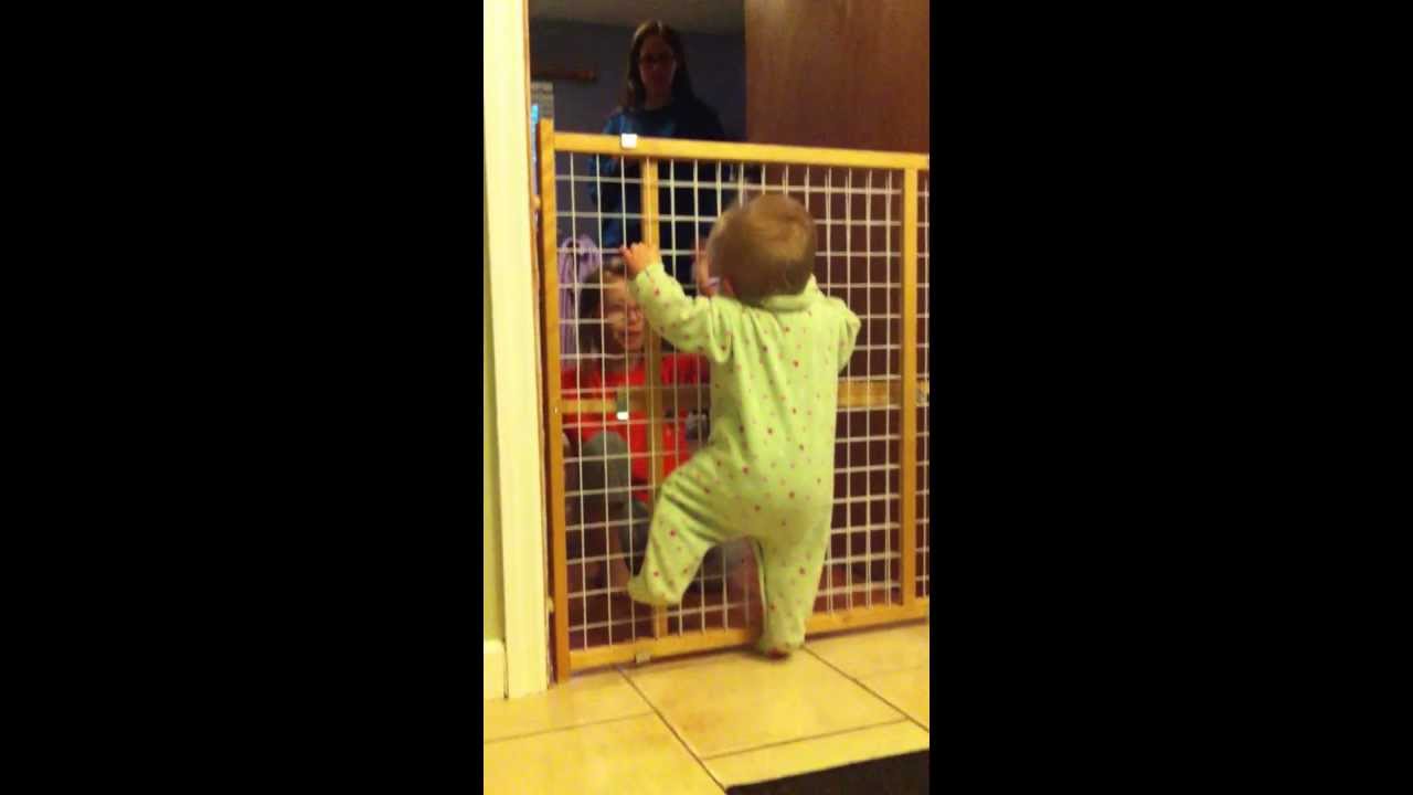 Baby Gate Climb Attempt IMG_0276.MOV - YouTube