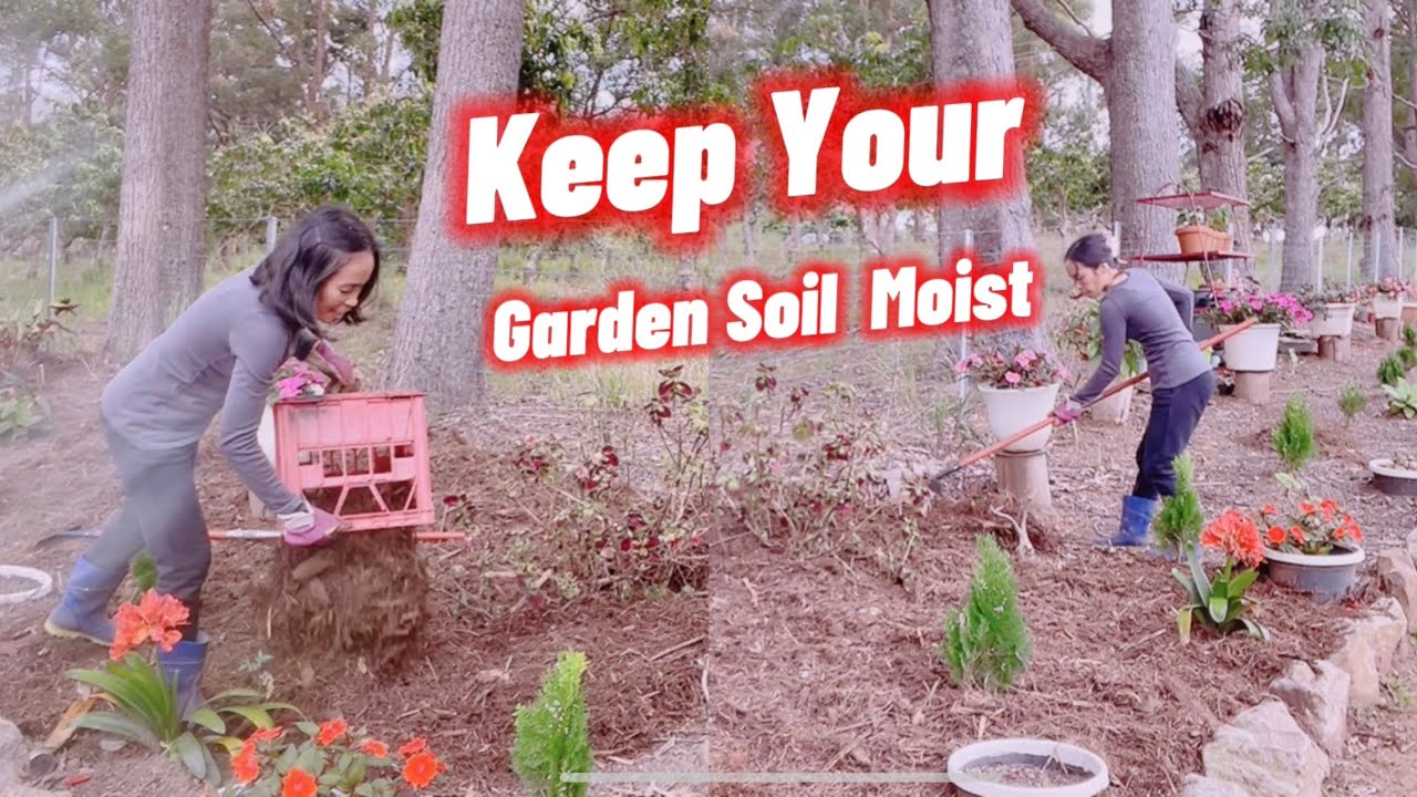How to Keep Your Garden Soil Moist#how#keep#garden#soil - YouTube
