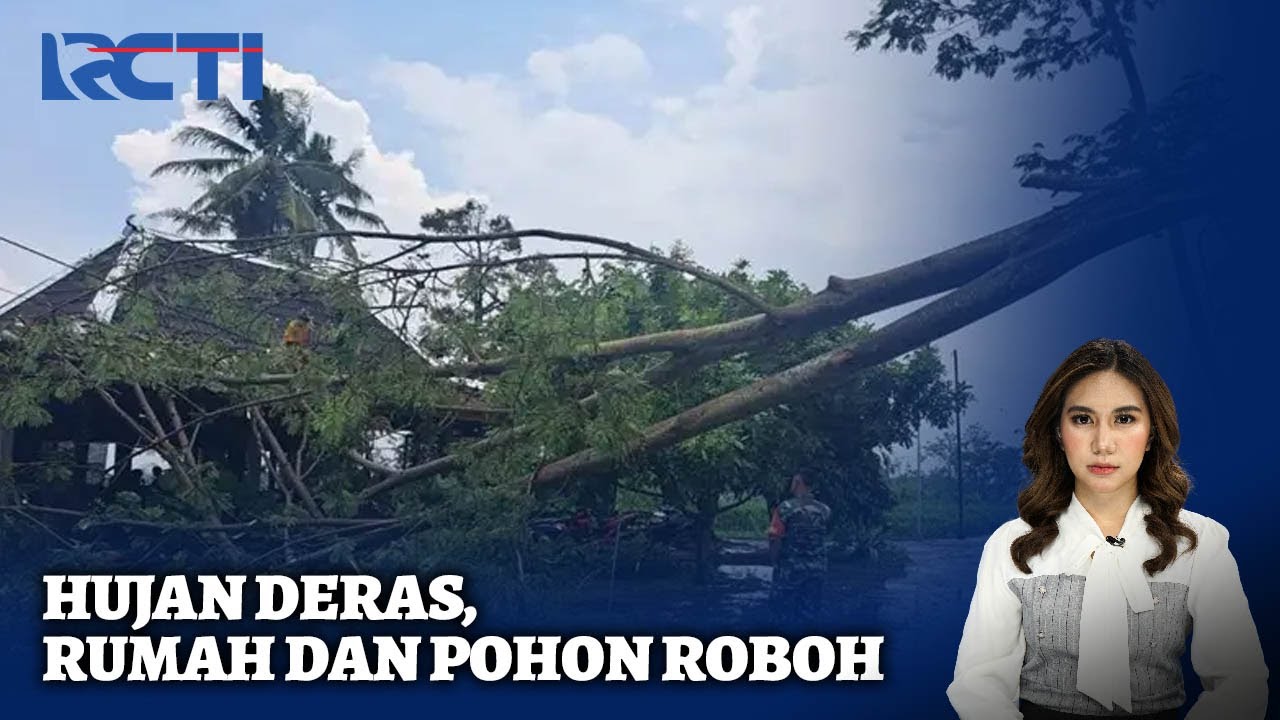 Pohon Tumbang, Rumah di Sleman Roboh Diterjang Angin - SIP 06/11 - YouTube