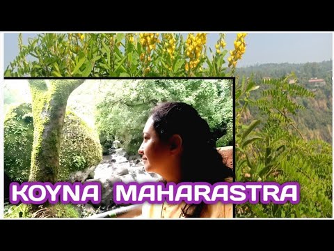 MTDC Koyna, A Budget Luxury Stay / Koynanagar Satara Tourist Places / Koyna Nagar MTDC ...