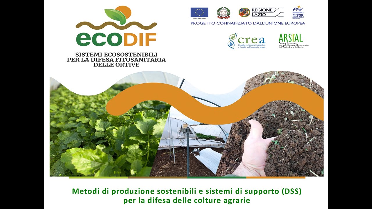 Webinar Ecodif 6 giugno 2023 2023 06 06 15 01 46 - YouTube