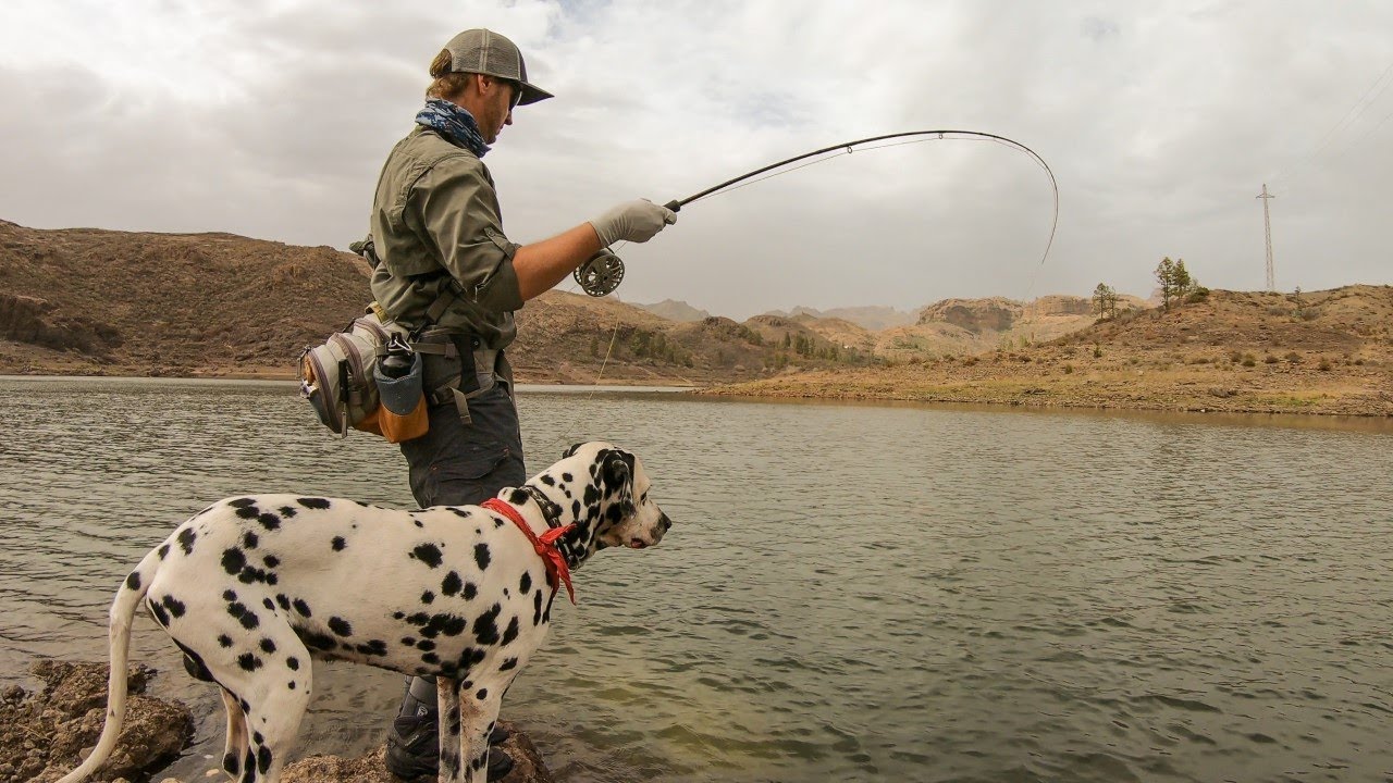 Maxcatch Advance rod 8wt testing with Carp. - YouTube