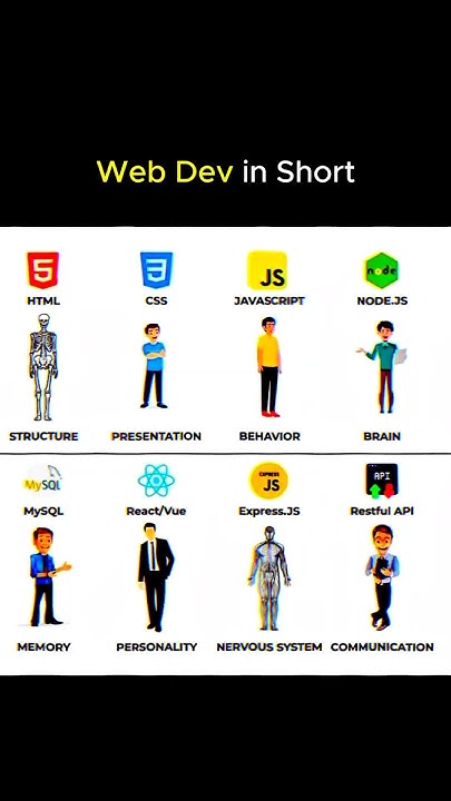 Coding Html Programming Python Cssanimation Javascript Code Beginners Youtube