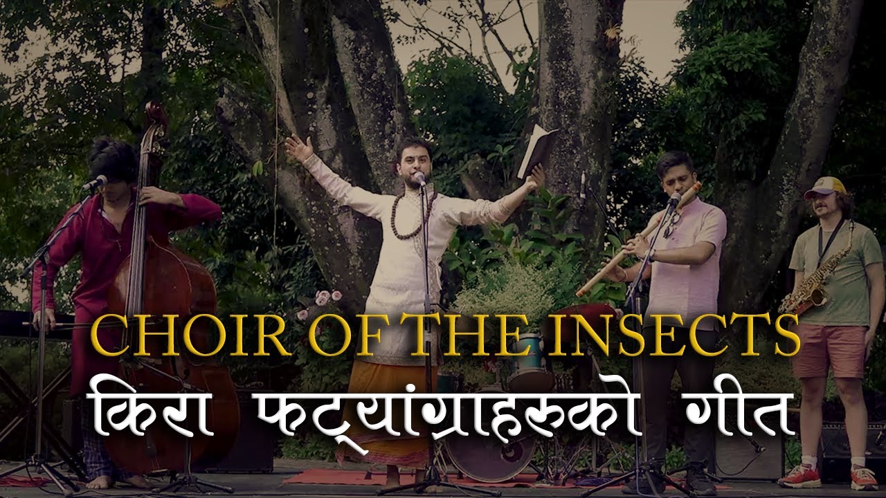The Choir of the Insects - A Poem | किरा फट्यांग्राहरुको गीत - नेपाली ...