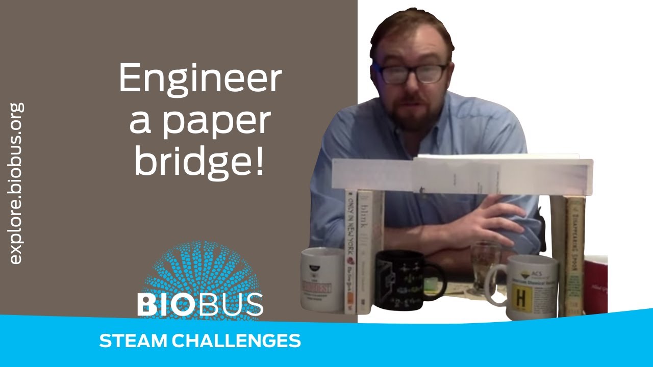 BioBus STEAM Challenges | Engineer a paper bridge! - YouTube