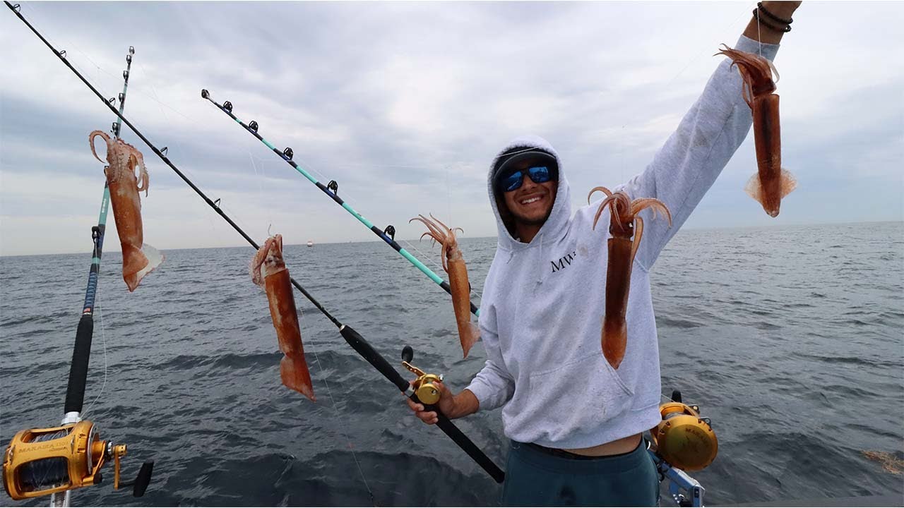 Catching LIVE SQUID for GIANT Blue Fin Tuna (squid catch clean cook ...
