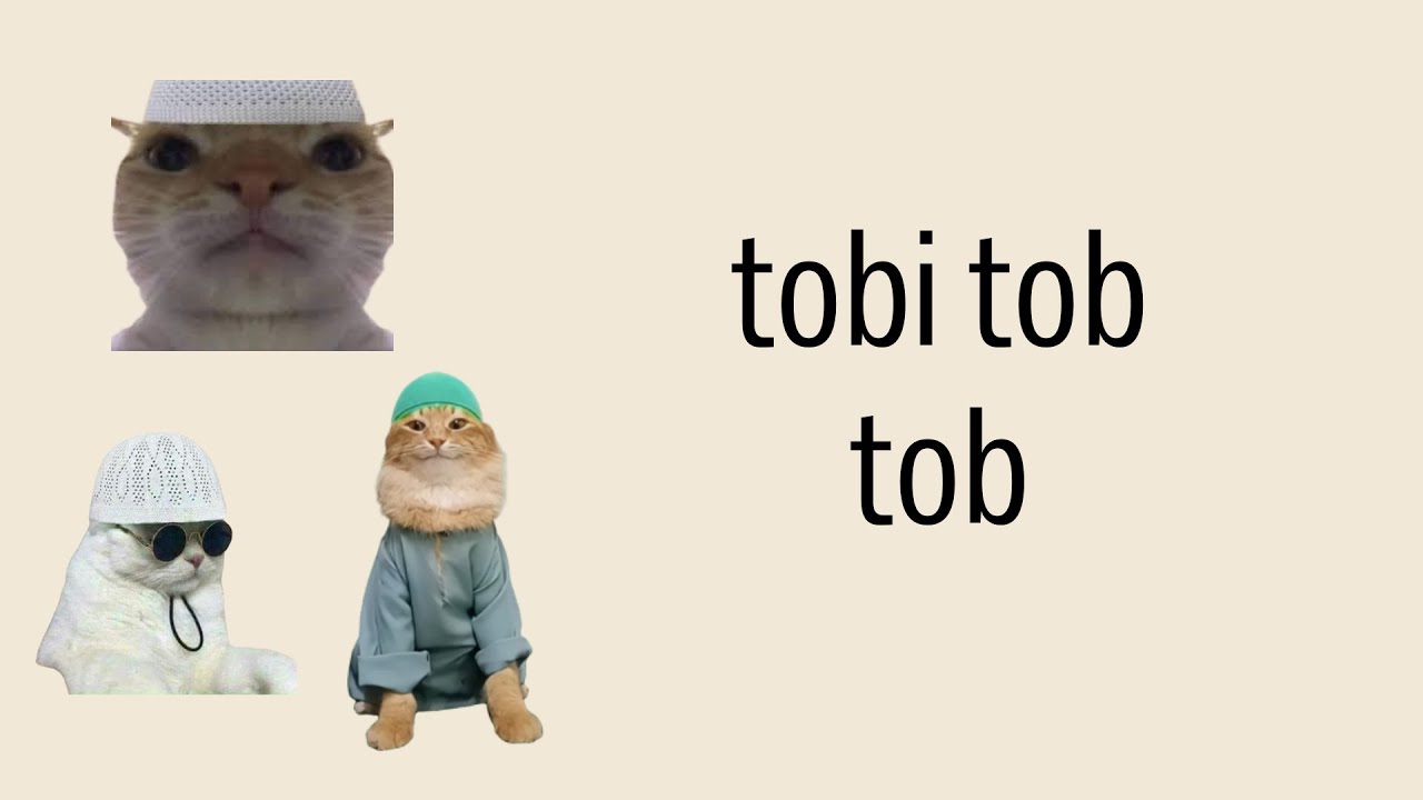 Ramadan Cat Meme Tob Tobi Tob Tob Viral TikTok Arabic Song | Lyrics ...