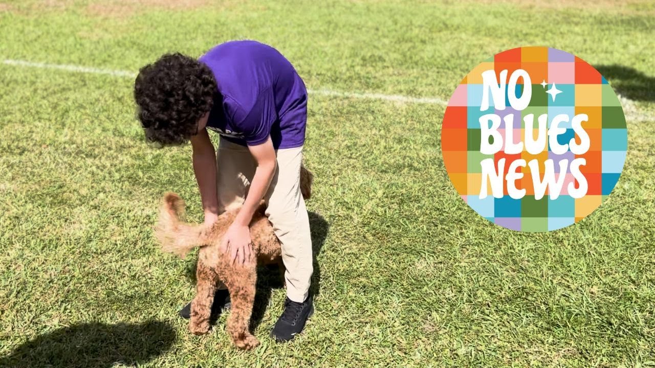A PAWSITIVELY PERFECT THERAPY DOG 🐶 - YouTube