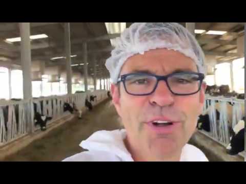 Test your observation skills! - YouTube