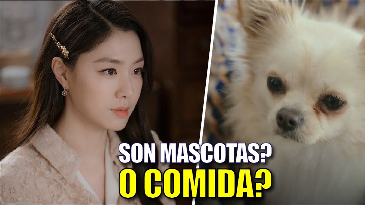 ¿Cómo tratan a los perros? 🐶😅 La diferencia entre Corea del Norte y ...