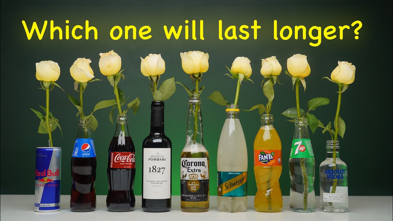 Testing Which Drinks Make Flowers Last Longer Alcohol Vs Soft Drinks