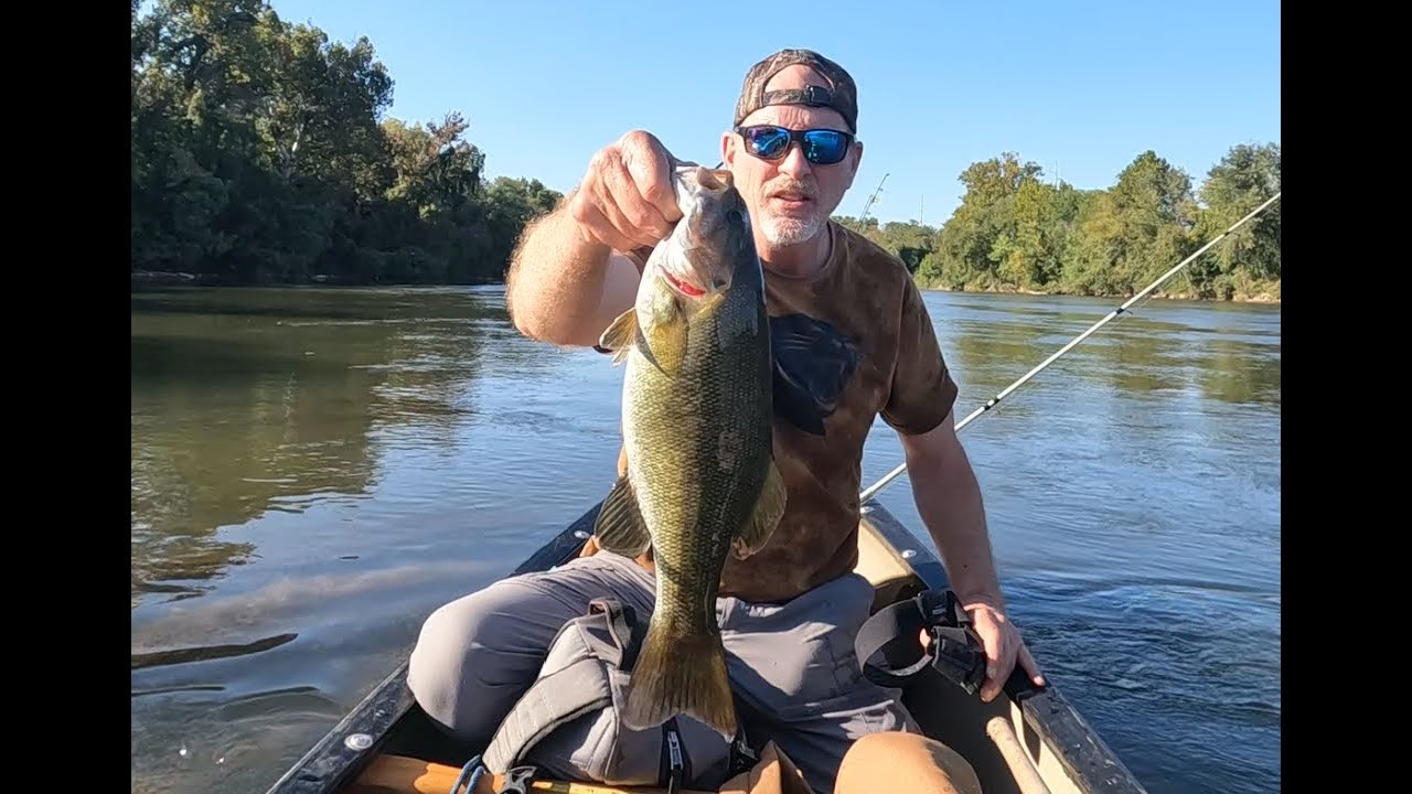 Dan River Smallmouth Bass Fall Action ! Smallmouth Bass Fishing - YouTube