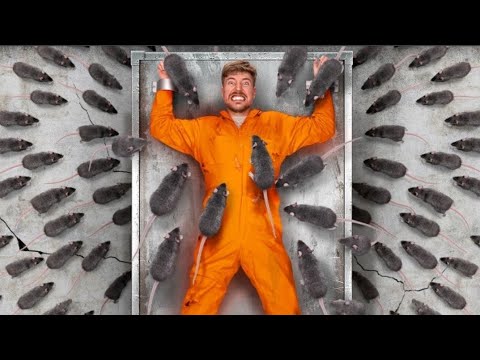Face Your Biggest Fear To Win $800,000