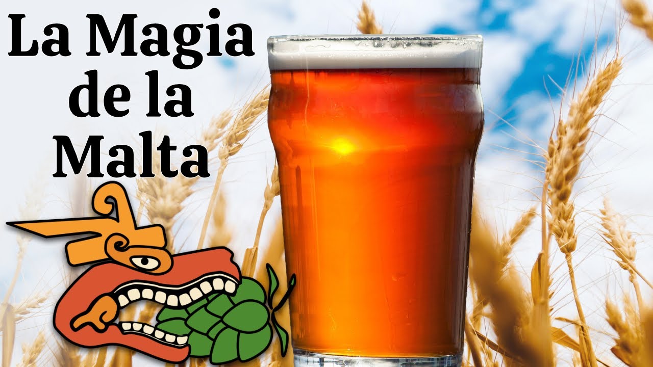 Proceso de malteado de granos para cerveza - YouTube