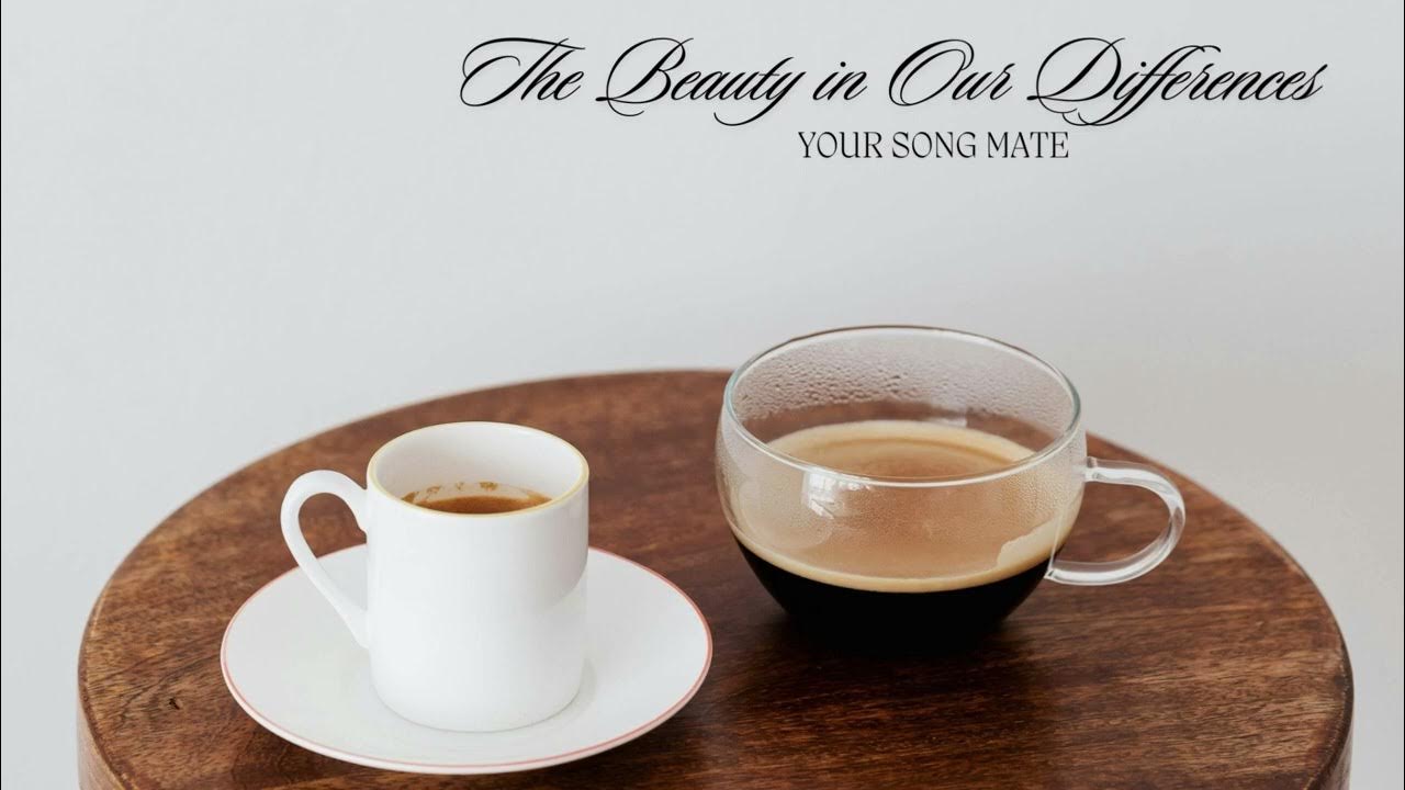 The Beauty in Our Differences | Love Song - YouTube