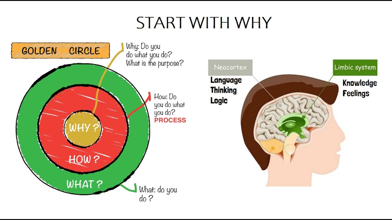 Start With Why By Simon Sinek Summarised Youtube