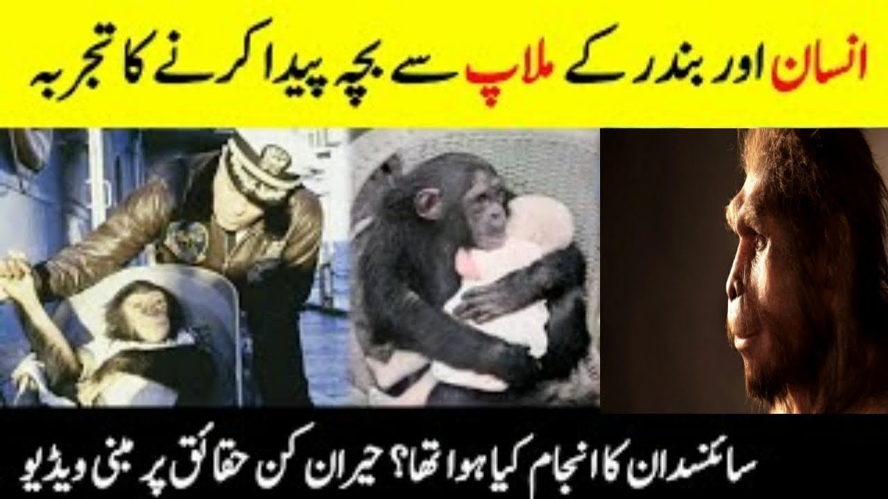 Russian Scientist Who Tried To Creat A Human Chimp Hybrid ! Human ...