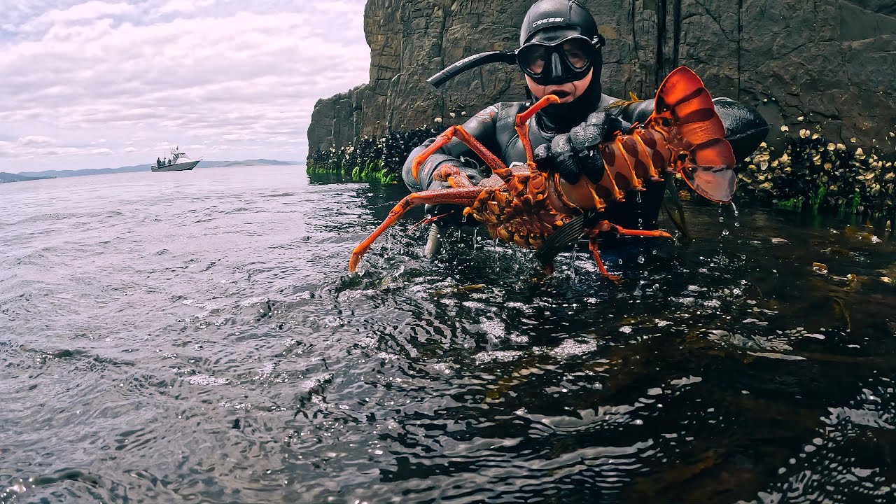 Free diving for crayfish - YouTube