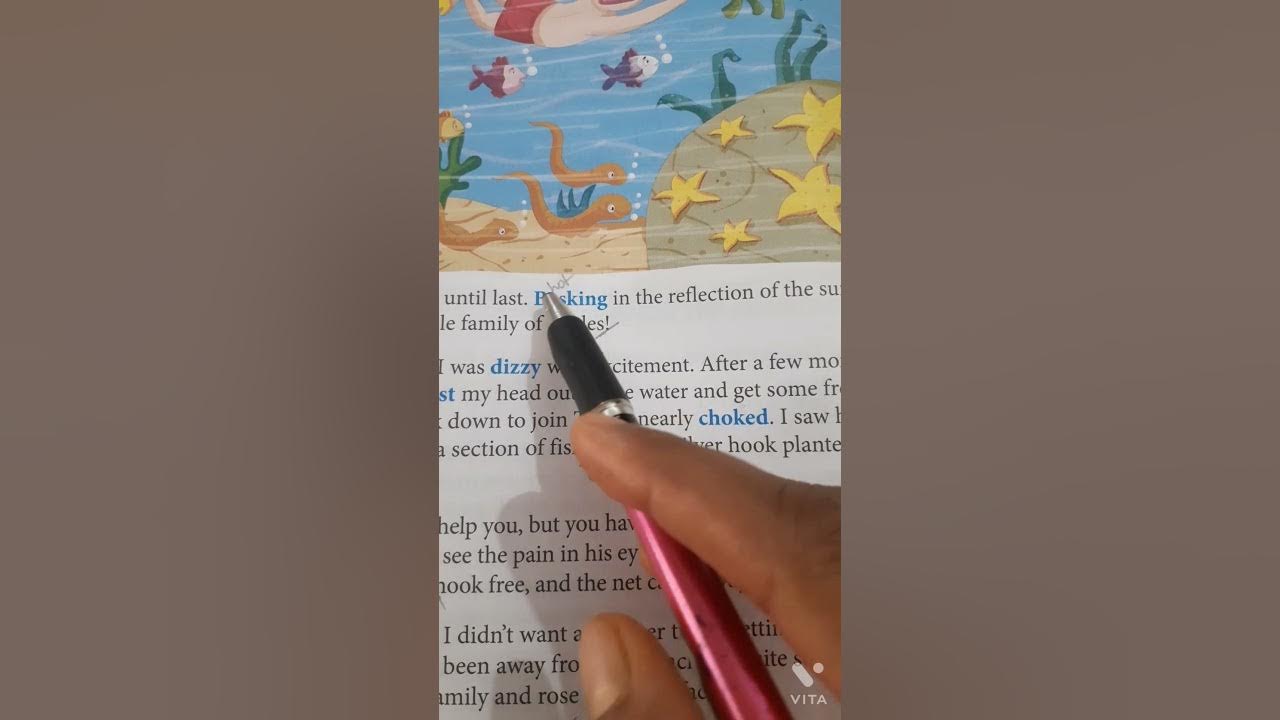 Adventure In Andmans Part2 Class 4th Raintree English YouTube adventure-in-andmans-part2-class-4th-raintree-english-youtube