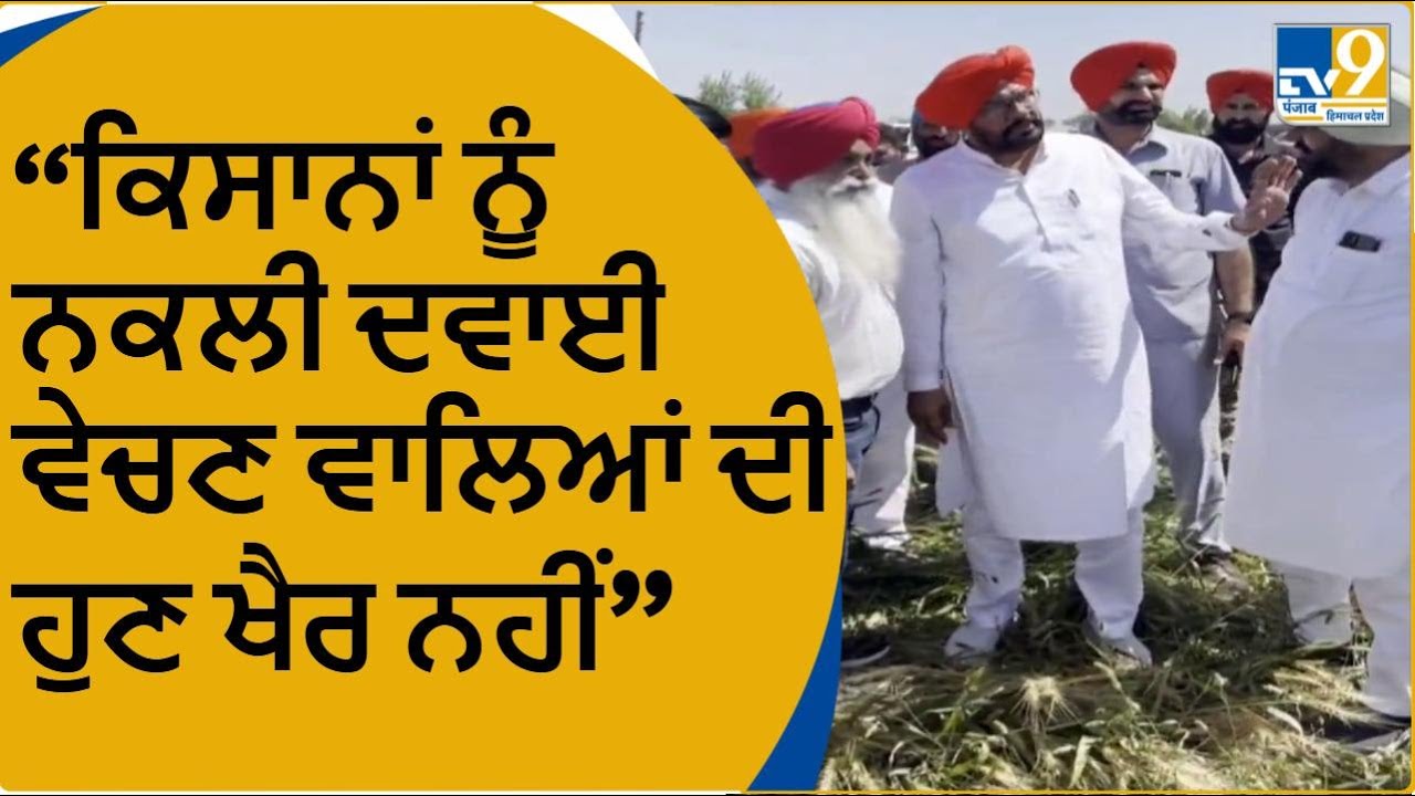 Punjab: ਨਕਲੀ ਦਵਾਈ ਕਾਰਨ ਖਰਾਬ ਹੋ ਗਈ ਕਿਸਾਨਾਂ ਦੀ ਫ਼ਸਲ, Dhaliwal ਬੋਲੇ ਨਕਲੀ ...