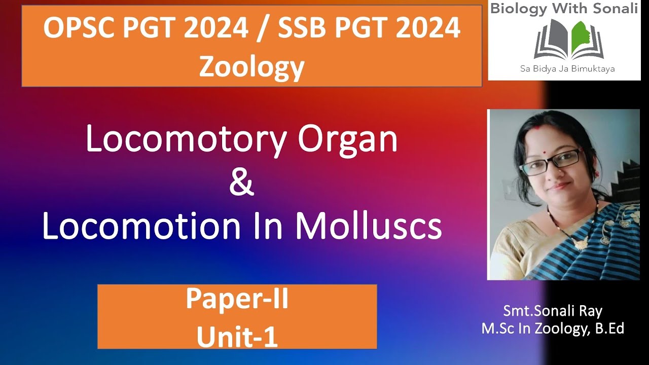 Locomotory Organ & Locomotion In Molluscs || #mollusca # ...