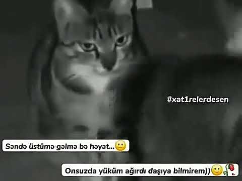 Whatsapp statusları qəmli statuslar menali videolar #short #shorts #shortsvideo
